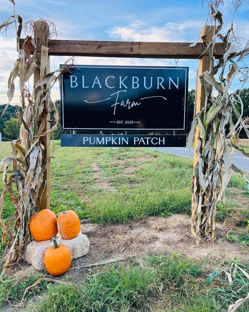 2023 Pumpkin Patches - Monroe Life